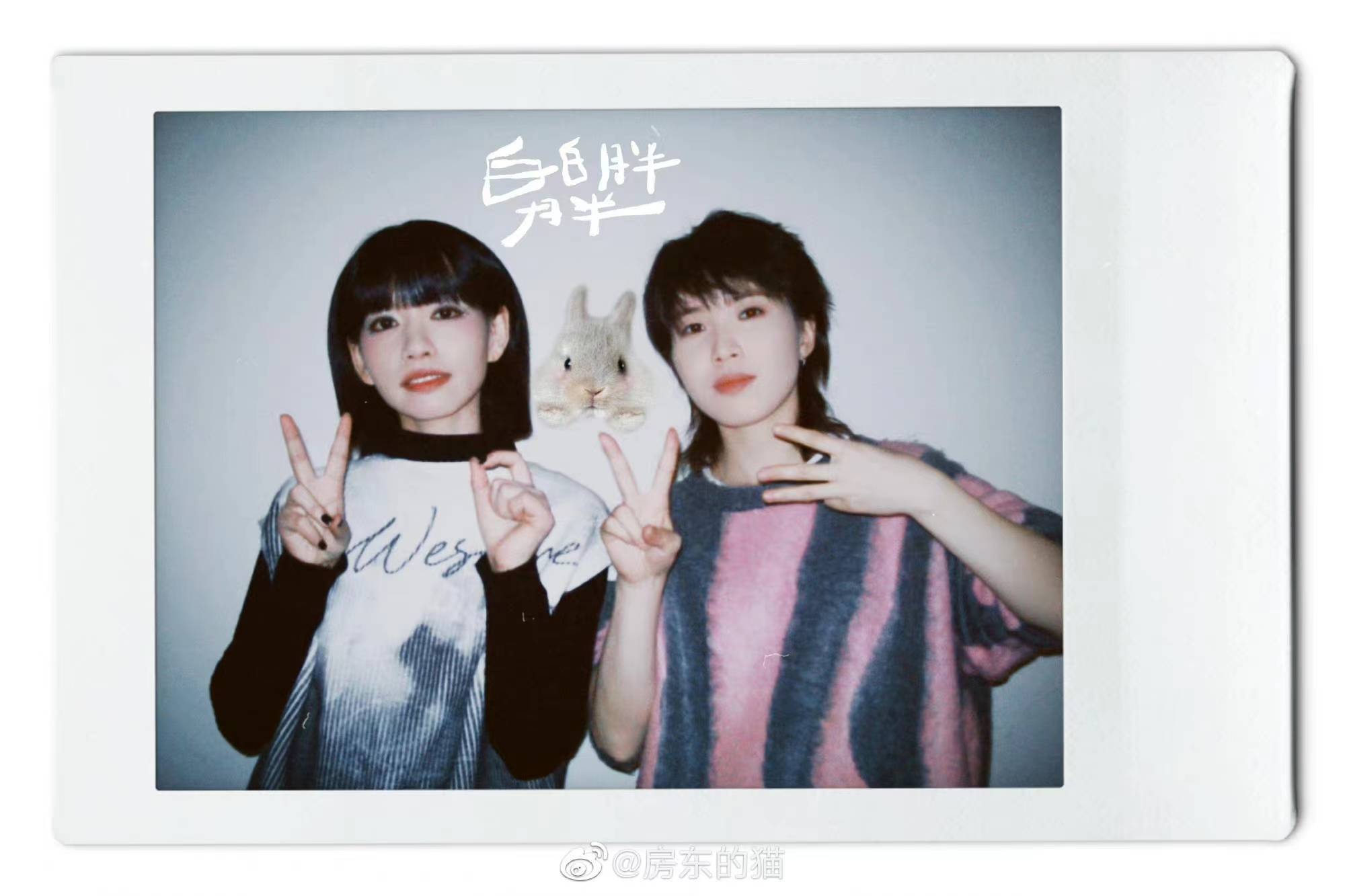 房东的猫歌曲霸榜 民谣收官热度不减 - 360娱乐，你开心就好